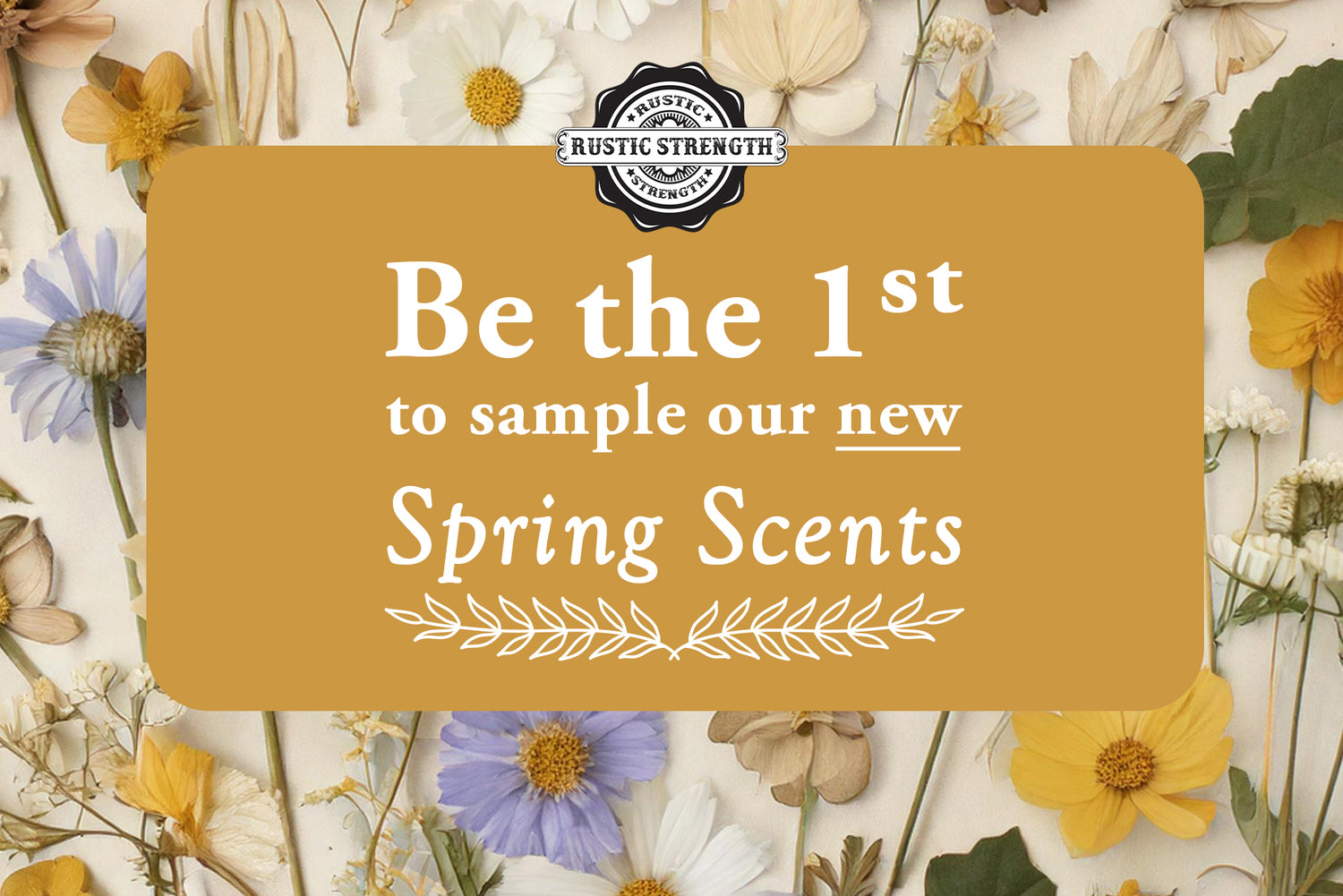 Rustic Strength Wholesale for refill stations, zero waste and retail ...